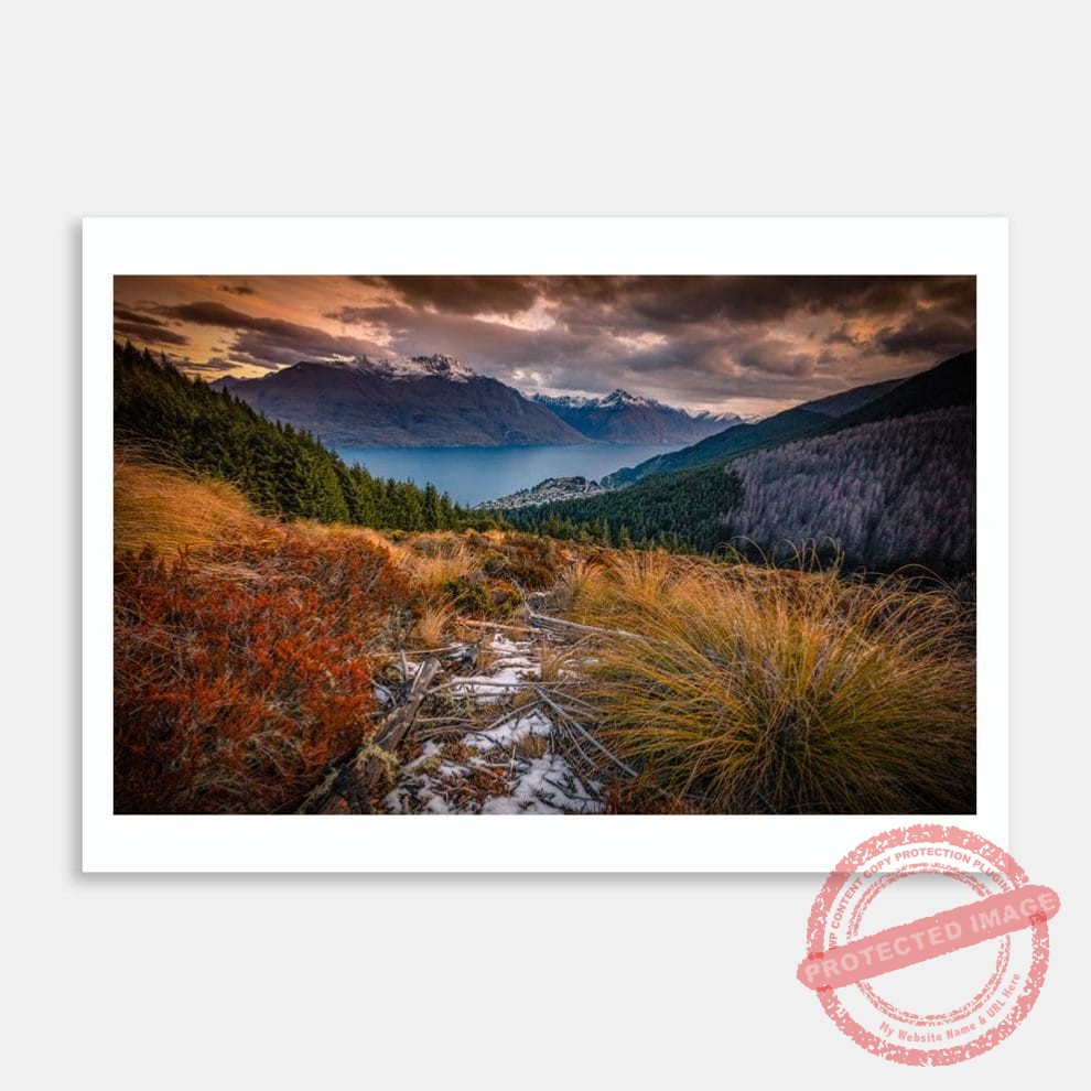 Landscape Art Prints - Art Collective