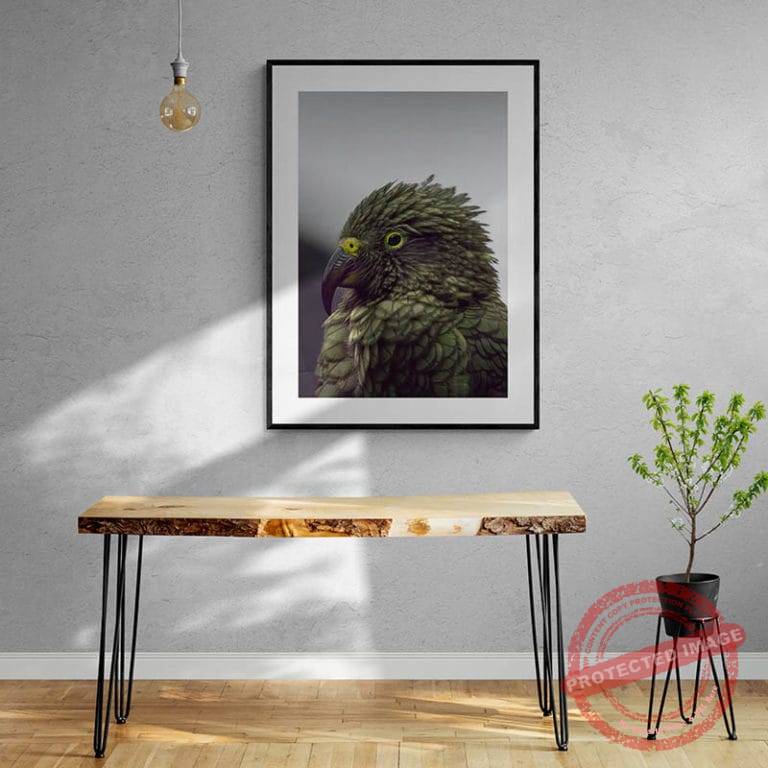 Arthurs Pass Kea Art Print By Ben Doubleday - Art Collective