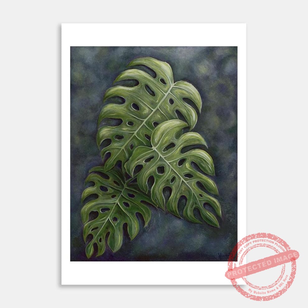 Monstera Deliciosa Art Print By Sue Lockett - Art Collective