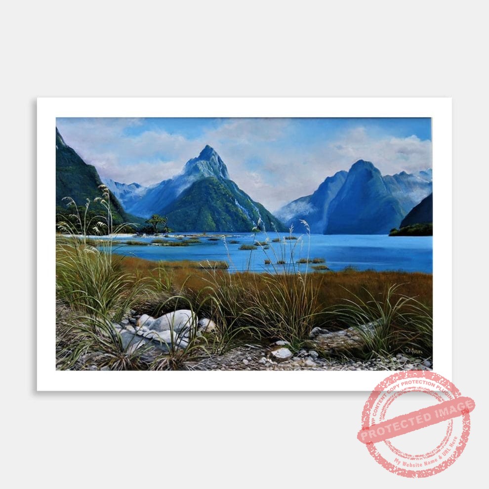Find Beautiful NZ Art Prints For You - Art Collective