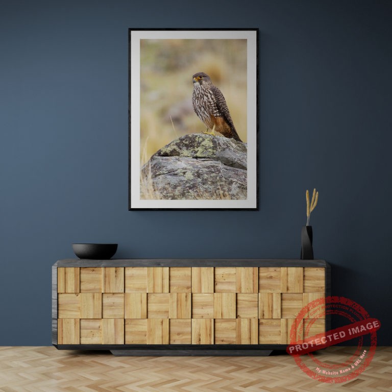 King Of The Castle Art Print By Paul Sorrell - Art Collective