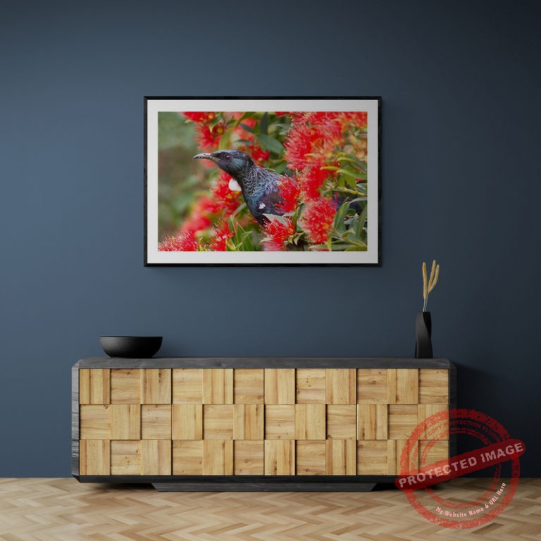 Tui On Rata Art Print By Paul Sorrell - Art Collective