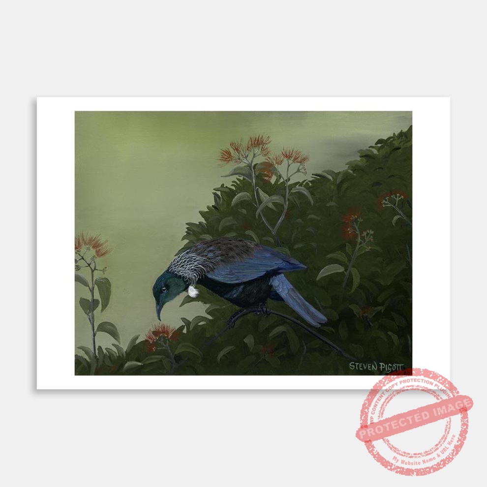 Tui Art Print By Steve Pigott - Art Collective