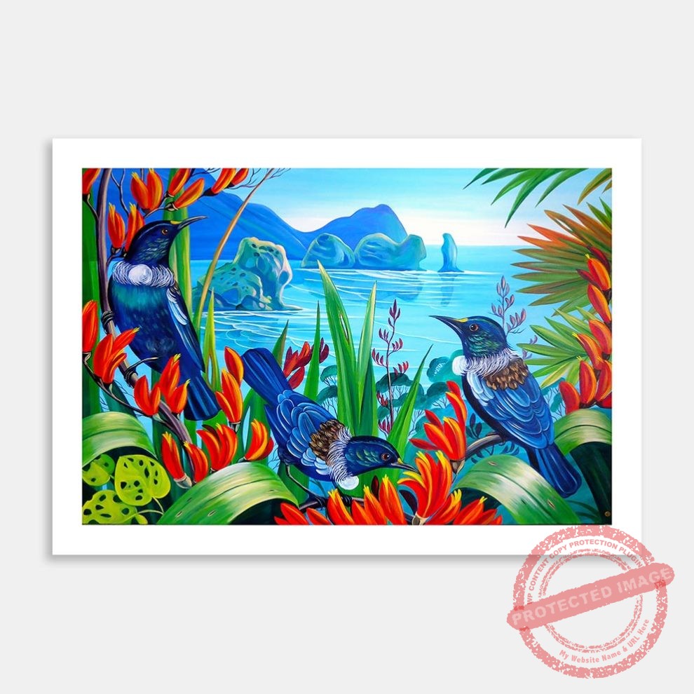 New Zealand Art Prints - Art Collective