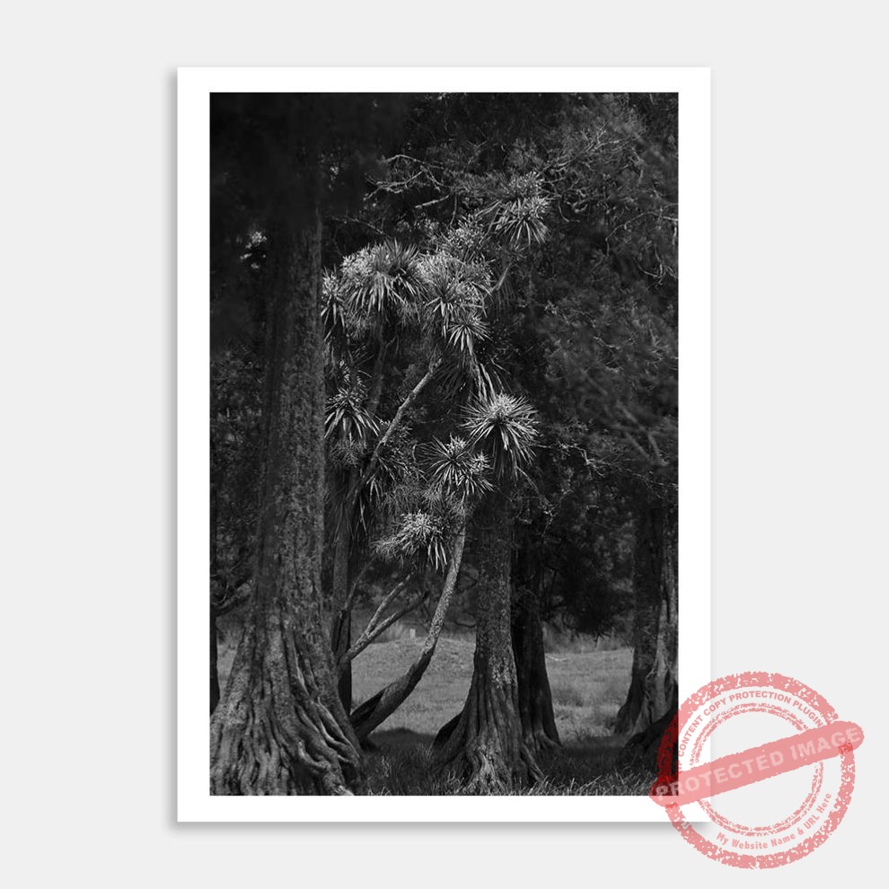 No.10 Art Print By Robert Brown - Art Collective