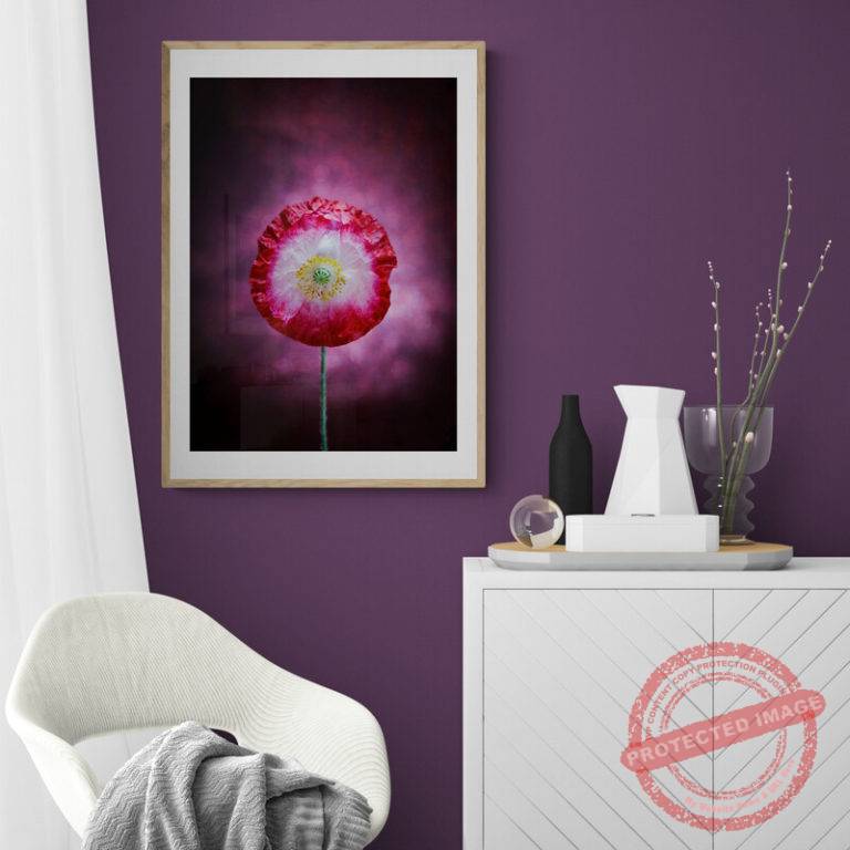 Popsicle (rectangle) Art Print By Kevin Chong - Art Collective