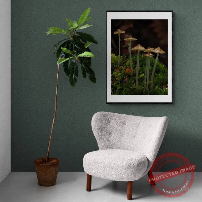 Mycena 2 Art Print By Benny Chia - Art Collective