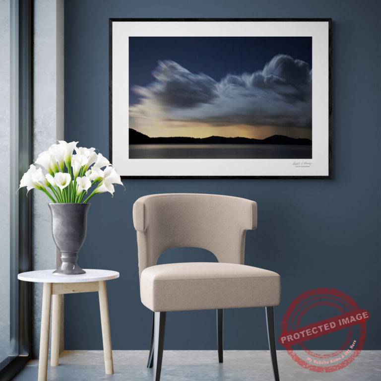 Mooncloud Little Huia Art Print By Rachel Mooney - Art Collective