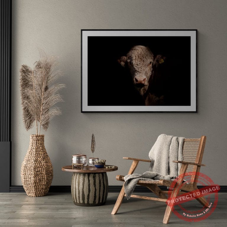 Jock Art Print By Jana Hands - Art Collective