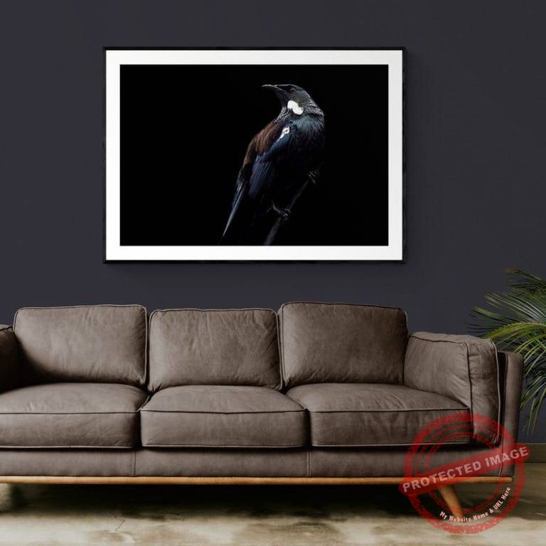 Tui II Art Print By Jana Hands - Art Collective
