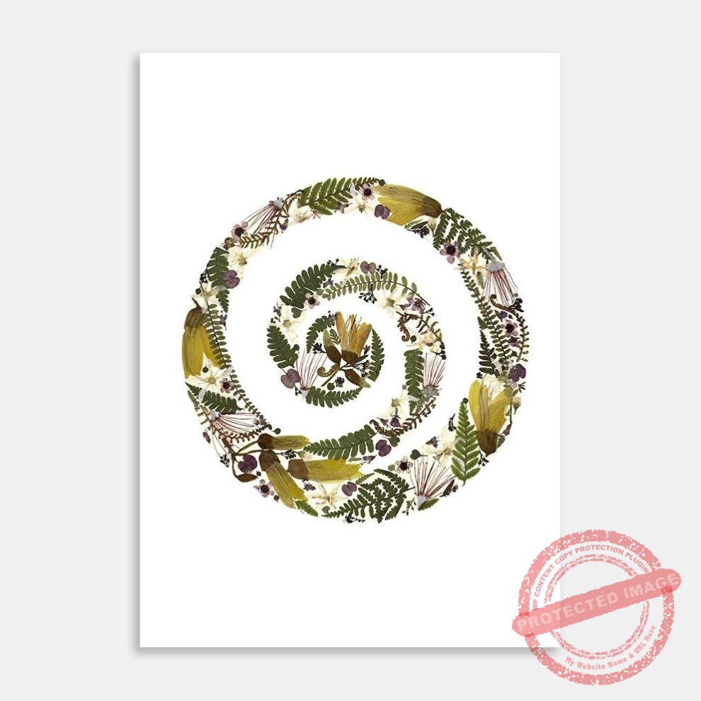 Koru Art Print By Kay Olsen - Art Collective