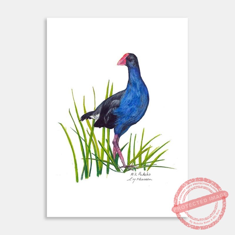 Cheeky Pukeko Art Print By Christina Maassen - Art Collective