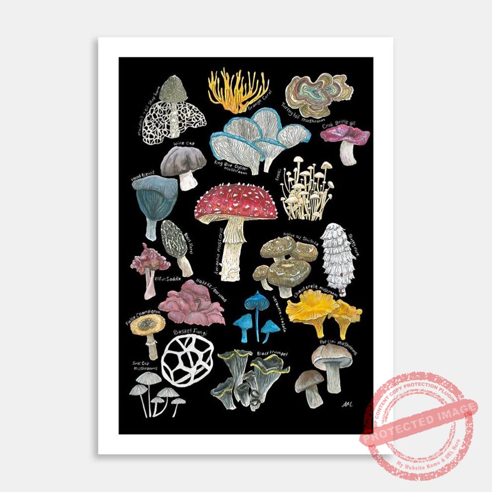 Mushrooms And Fungi Art Print By Lesh Creates - Art Collective